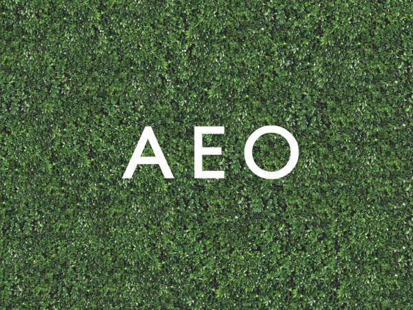 American Eagle Outfitters Completes Quiet Logistics Acquisition - AEO-Inc