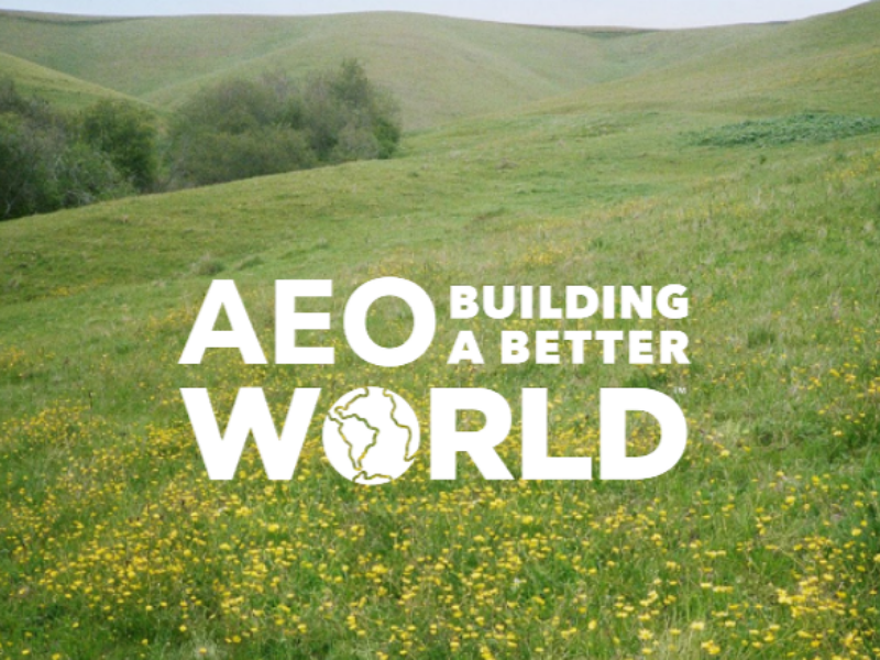 AEO Foundation - AEO-Inc