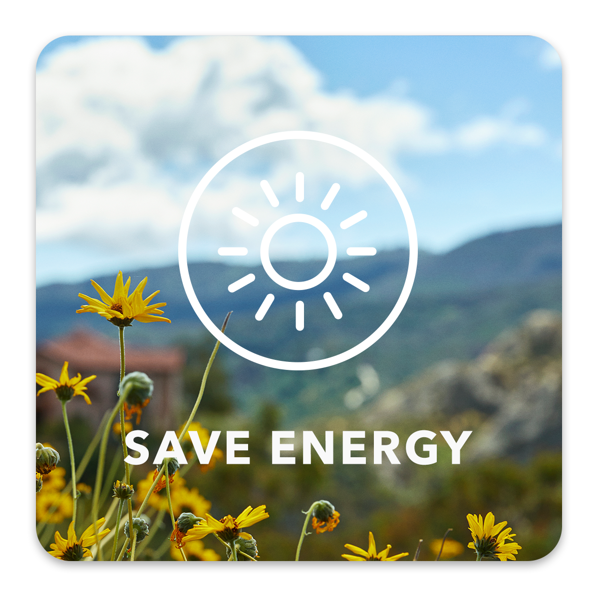 Sustainability Aeo Inc