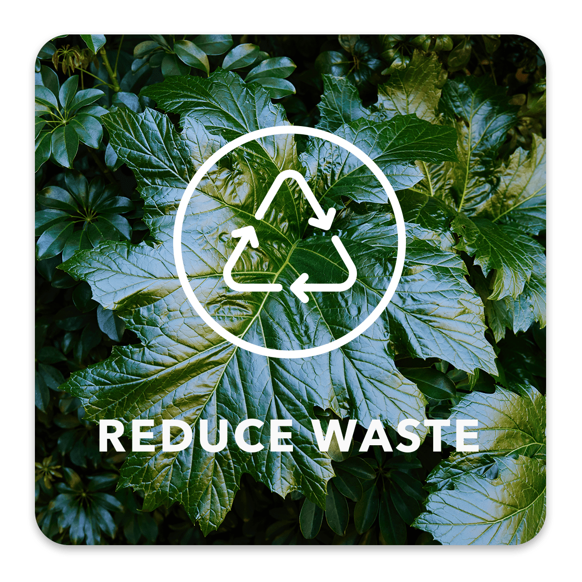 Sustainability Goals Aeo Inc