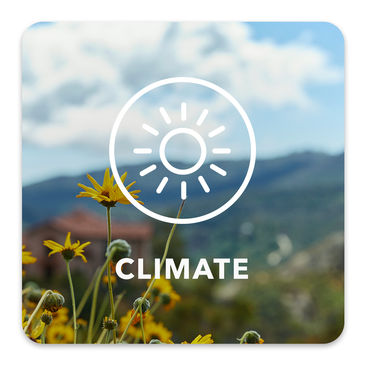 Sustainability Aeo Inc