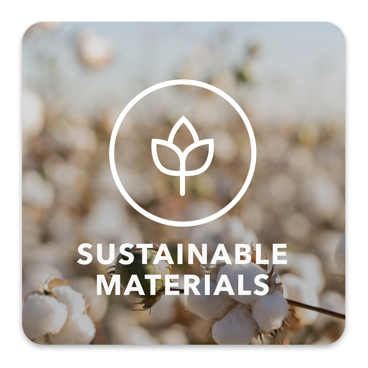 Sustainability Aeo Inc