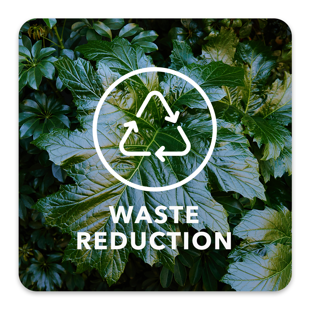 Sustainability Aeo Inc